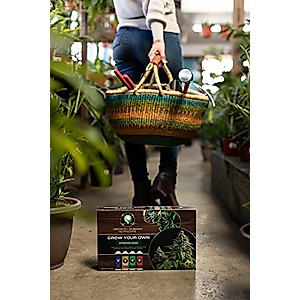 Growth Science Nutrients - Starter Pack