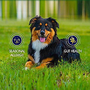 YUMA'S Dog Allergy Chews - Itch Relief for Dogs - Dog Allergy Relief - Anti Itch for Dogs - Dog Itchy Skin - Dog Allergy Support - Hot Spots Supplement - 90 Treats