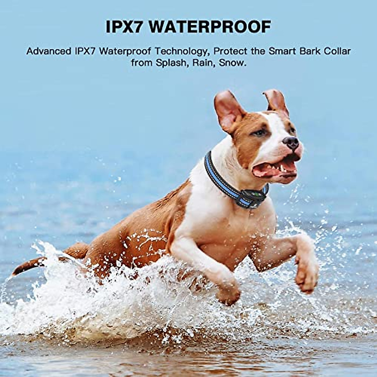 Laptom Pro 2 Pack Smart Dog Bark Collar - 5 Adjustable Sensitivity/Vibration&Sound/Rechargeable/IPX7 Waterproof - No Shock Bark Control Training Collar for Small Medium Large Dog (V1)