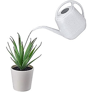 Fasmov Plastic Watering Can, 1-Gallon