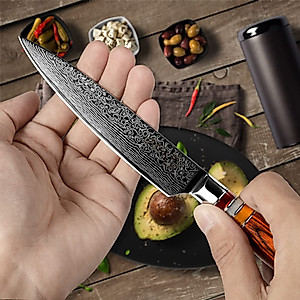 FANTECK Utility Knife 6 Inch, Japanese Damascus Kitchen Petty Knife, VG10 67 Layer Pro Razor Sharp Cutting Fruit Carving Chef’s Paring Knives with Sheath& Gift box, Ergonomic Pakkawood Handle