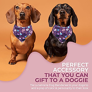 LunaMarie - Luxury Pet Birthday Bandanas -Premium & Silky Poly Fabric | 100% Handmade | Custom Shape Dual Layered (Bewitched, Large)