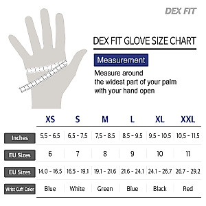 DEX FIT Warm Fleece Winter Outdoor Gloves LG201 Thermal, Ideal for Running, Hiking, Cycling Outdoor in Cold Weather, Touchscreen Compatible, Firm Silicone Grip, Washable; Black S (7) 1 Pair