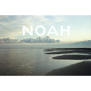 Noah Hair - 1.5 Purifying Shampoo with Green Tea and Basil - Organic Shampoo - With Green Tea Extract and Essential Oils– Natural Shampoo - Dandruff Shampoo - Hair Care for Natural Beauty - 8.5 fl.oz