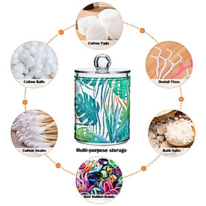 Palm Leaves 2 Pack Qtip Holder Organizer Dispenser Plastic Bathroom Jars Storage Containers with Lids Clear Jars for Home Bathroom Decor