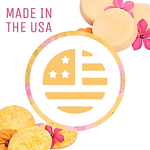 Sweet & Sassy Shampoo + Conditioner Bars: Includes 1 Shampoo, 1 Conditioner. Made in the USA. Natural, Organic, SLS Free, Safe for Color Treated Hair. Sunkissed