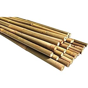 Dlh Western Natural Bamboo Poles, Eco-Friendly Plant Support Garden Stakes 4ft Long, Diameter of 3/8" (25-Count)