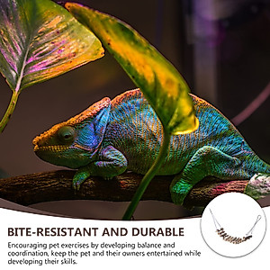 Ipetboom Climbing Pet Suspension Bridge Lizard Accessories Tank Reptile Decor Tank Reptile Ladder Terrarium Reptile Decor Wooden Reptile Ladder Hanging Reptile Decor Wooden Lizard Ladder