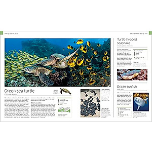 Wildlife of the World