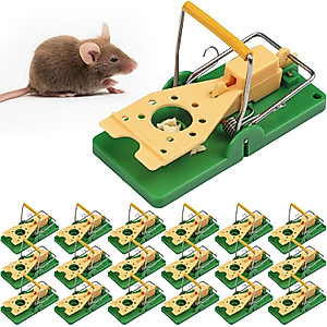 Qualirey Mouse Traps Green 2024 Edition Plastic Mice Trap Rat Traps with Yellow Cheese Color Board Quick Sensitive Effective Mouse Trap Safe Sanitary Mice Traps for House, Garage, Outside(12 Pcs)