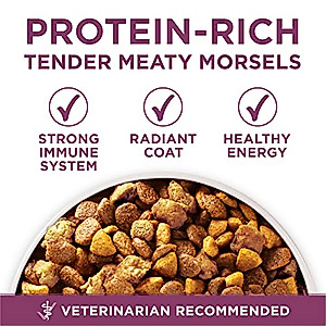 Purina ONE Plus Healthy Puppy Formula High Protein Natural Dry Puppy Food with added vitamins, minerals and nutrients - 16.5 lb. Bag