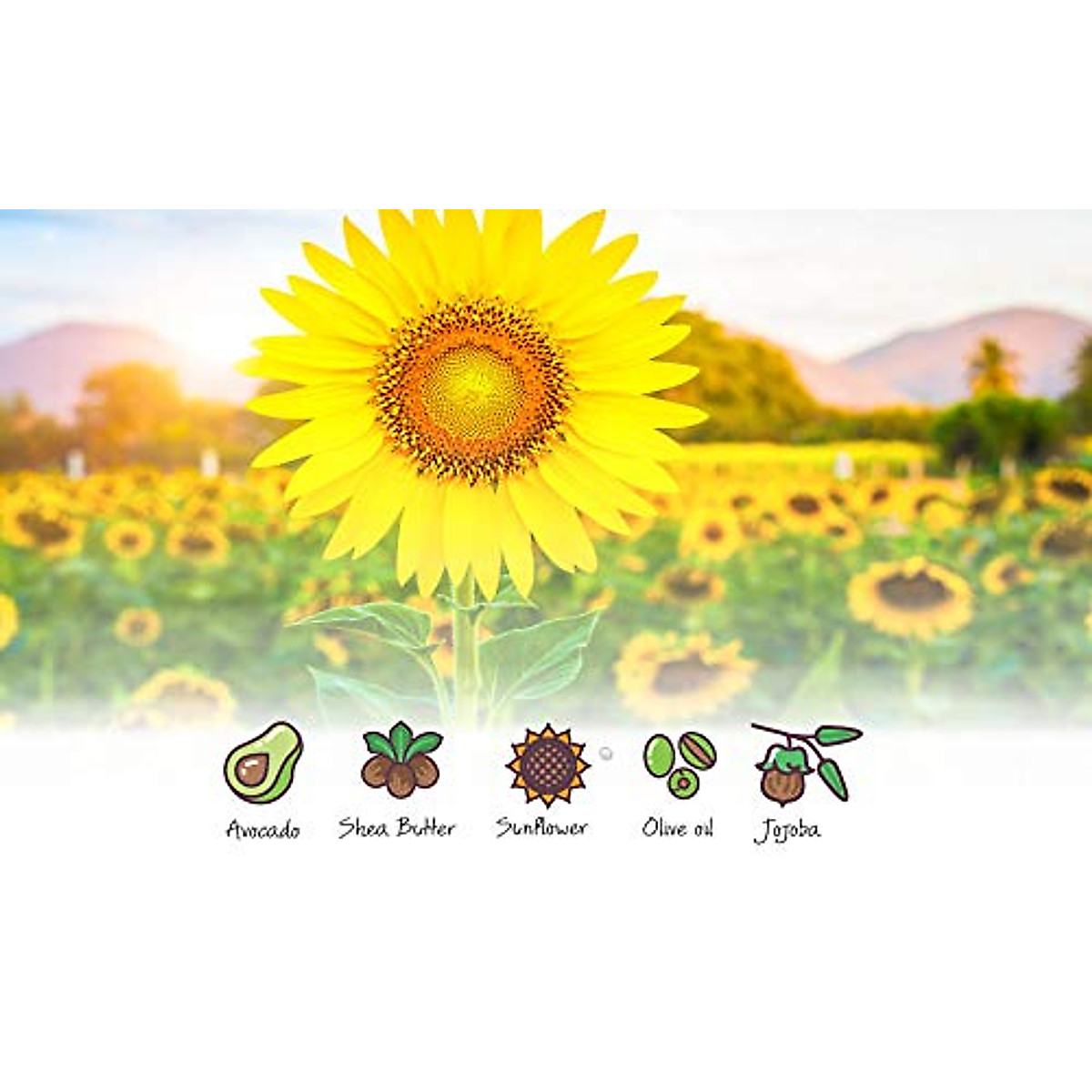 Mommy Care Shapely Post Pregnancy Firming Lotion With Laminaria and vitamin E Postpartum Belly Firming Cream Tummy Tightening for After Pregnancy Certified Organic (1 Bottle 3.38 fl.oz)