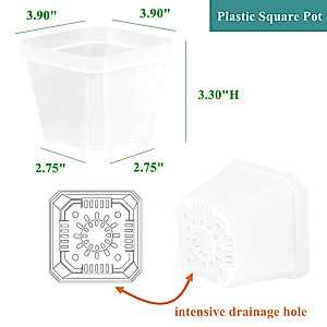 BangQiao 30 Pack Small 3.90 Inch Plastic Square Nursery Pot, Plant Starting and Transplant Planter Container with Drainage Hole for Seed Germination, Clear