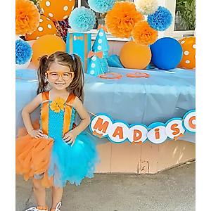 15PCS Light Aqua Blue Orange Party Hanging Paper Flowers Pom Poms Decorations for Backdrop Centerpieces Boys Girls Blue Dog Birthday Baby Shower Graduation Nursery Wall Décor