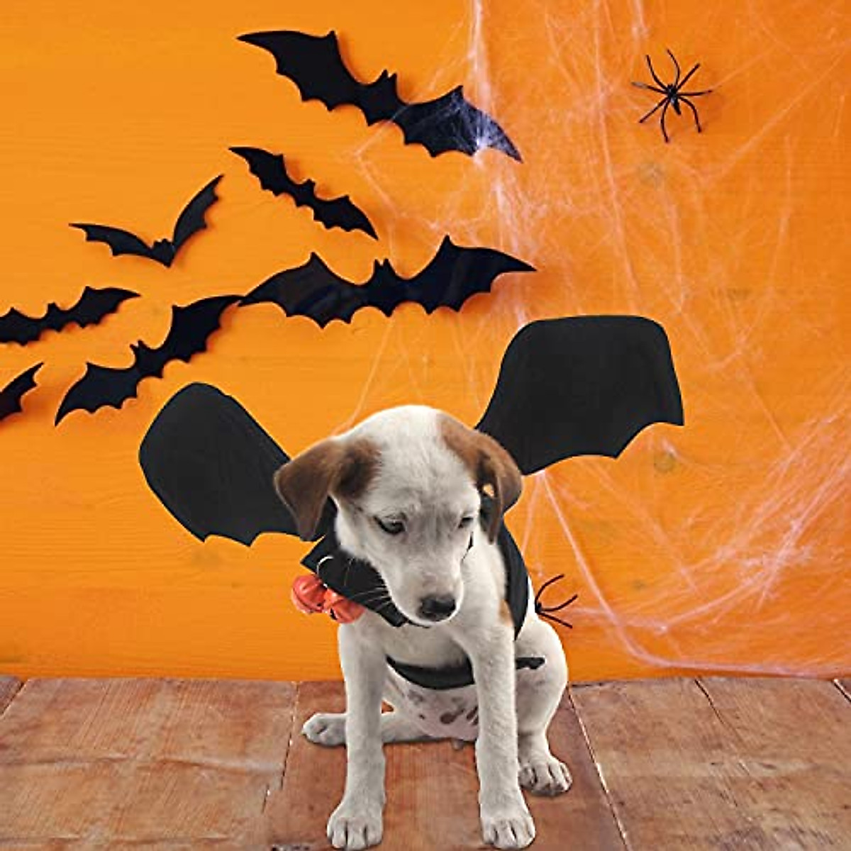 DIYASY Cat Halloween Bat Wing Costume,Halloween Small Pets Black Bat Costume Decoration for Puppy Dog and Cat with Bells