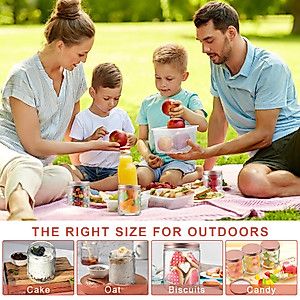 Tioncy 12 Pcs 8 oz 250 ml Thick Glass Jars with Metal Lids, Clear Candle Making Jars with Rose Gold Lids Empty Food Storage Containers Mason Canning Jar for Spice Powder Liquid Honey Cosmetic