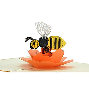 Diese-Klappkarten Birthday Card HappBEE Birthday | Pop up Happ Birthday Card featuring a 3D Bee on a Flower | Funny Bee Hive Greeting Card or Birthday Gift Voucher, G27