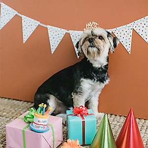 Ondder Gold Happy Birthday Headband for Women & Girls - Shiny Rhinestone Tiara for Birthday Parties