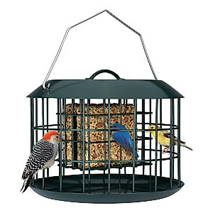 Kingsyard Squirrel Proof Suet Feeder, Cage Bird Feeders for Outdoors Hanging, All Metal, Double Suet Cake Capacity, Tray & Weatherproof, Green