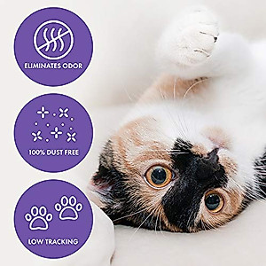 Ultra Pet Clumping Crystal Cat Litter, White Crystals with Multicolor Crystals, 5 Lbs