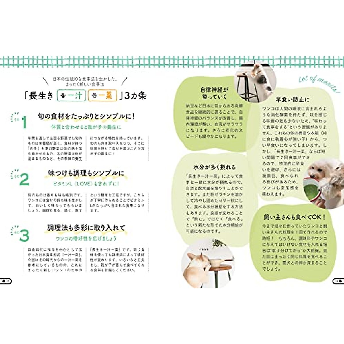 獣医師が考案した一汁一菜長生き犬ごはん こだわりの安心レシピ&作り置きOK!