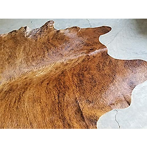 ecowhides | Genuine Cowhide Rug, Cowskin, Brindle, Western Home Decor, Premium Quality, Living Room Accessories, (X-Large) 7 x 6 ft