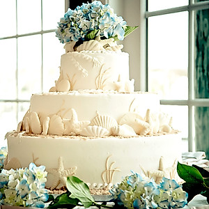 Mermaid Molds Silicone Mermaid Fondant molds Marine Theme Chocolate Polymer Clay Candy Soap Molds Mermaid Tail Seashell Coral Turtle Starfish Seahorse for Homemade Baking DIY