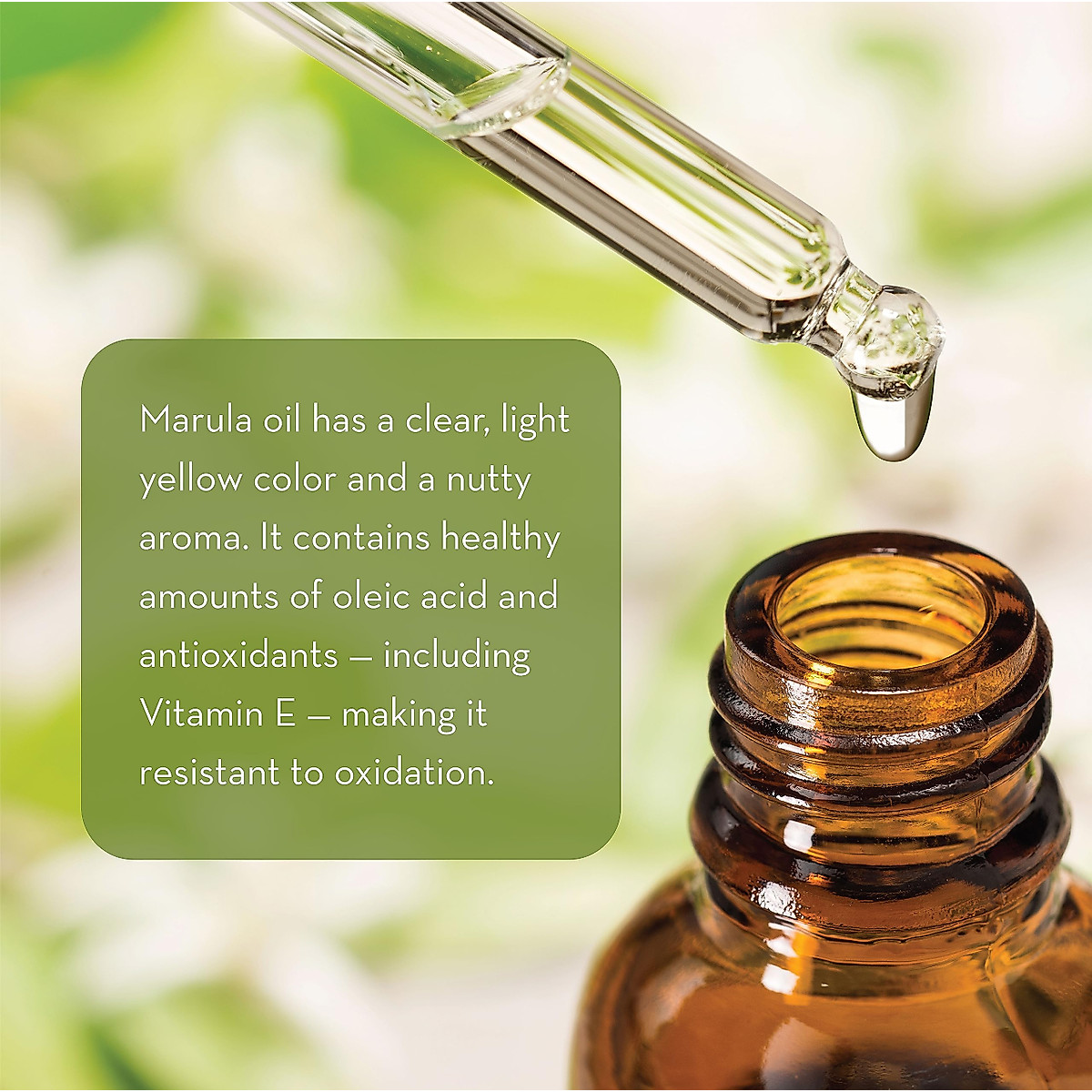 Pure Body Naturals Marula Facial Oil, 1 Fluid Ounce - Cold-pressed, Refined Luxury Beauty Oil for Face and Hair - Vegan, Gluten-free and 100% Natural