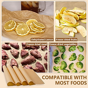 Tray Mats Set for Harvest Right Freeze Dryer Large Trays, Harvest Right Freeze Dryer Accessories, Freeze Dryer Parchment Paper Set, Food Grade Materials，19.6 X 8.3 in (100PCS)