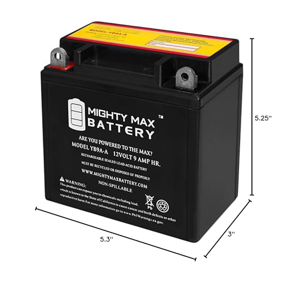 Mighty Max Battery YB9A-A 12V 9AH Battery Replacement for 4140008, 44043, 740-1872