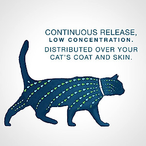 Bayer Seresto Flea and Tick Collar for Cat, all weights, 2 Pack With HS Pets Collapsible Pet Bowl