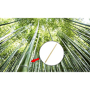Mini Skater 5.4 Inch Bamboo Coffee Stirrers Eco Friendly Biodegradable Stir Sticks for Tea Hot Cold Beverages (100)