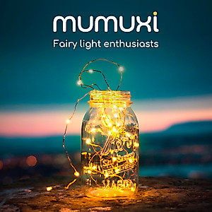 MUMUXI LED Fairy String Lights Battery Operated [20 Pack], 3.3ft 20 Mini Fairy Lights Powered Party Wedding Centerpiece Decorations Crafts Mason Jar Firefly Lights, Warm White
