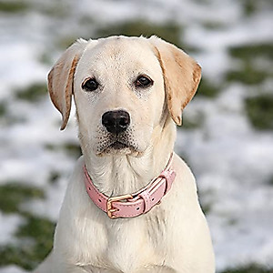 WHIPPY Leather Dog Collar for Small Medium Large Dog Adjustable Soft Breathable Leather Padded Puppy Collar with Alloy Buckle Heavy Duty Waterproof Classic Dog Pet Collar,Pink,M