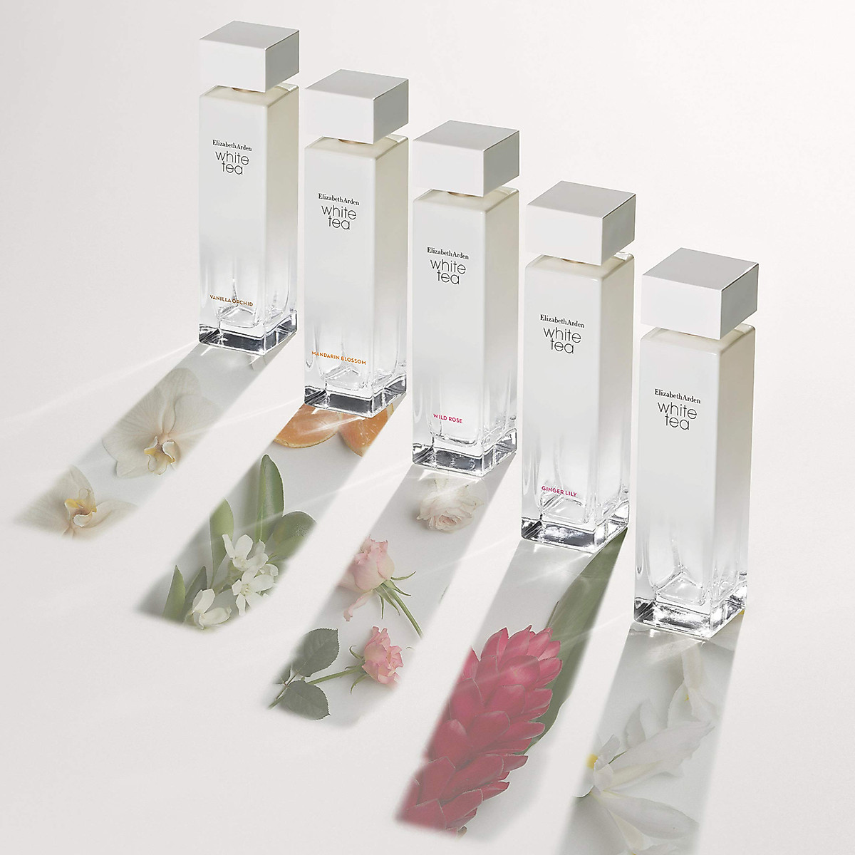 Elizabeth Arden White Tea Ginger Lily Body Cream, Moisturizing & Hydrating with Shea Butter, 13.5 oz.