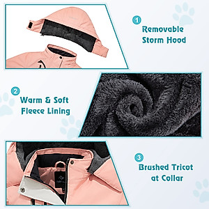 FARVALUE Girls Waterproof Ski Jacket Windproof Winter Coat Warm Snow Coat Outdoor Raincoats with Removable Hood Pink 8