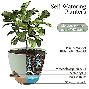 Giraffe Creation 9 inch Plant Pots 2-Pack, Self Watering Flower Pots Indoor Outdoor, Planters with Drainage Hole Saucer Reservoir, Green Brown