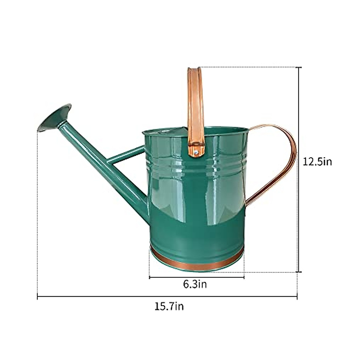 Metal Watering Can for Outdoor and Indoor Plants, Watering Can Decor, 1 Gallon (1 Gallon Green2)