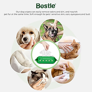 BESTLE Dog Wipes, 100 Count Pet Grooming Wipes, Conditioning Shine Coat, Cleaning and Deodorizing, Pet Wipes for Dogs & Cats, for Sensitive Skin (Aloe Vera)