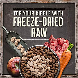 Merrick Backcountry Freeze Dried Raw Grain Free Dry Dog Food Meal Mixers with Real Meat 12.5 Ounce (Pack of 1)