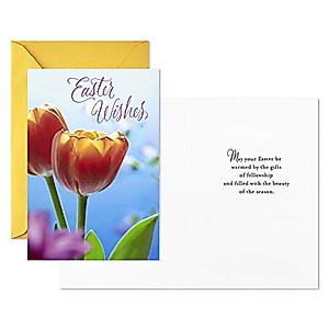 Hallmark Easter Cards Assortment, Easter Bunnies (8 Cards with Envelopes)