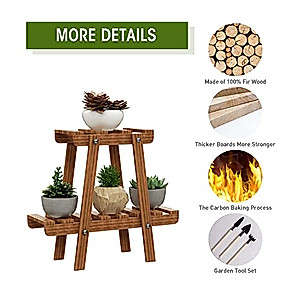 TESOURO 2 Tires Plant Stand, Indoor Outdoor 12 Potted Tall Large Wood Plant Shelf, Flower Holder Ladder Plant Rack Multiple Planter Display for Living Room Corner Balcony Office Lawn Patio Garden (2