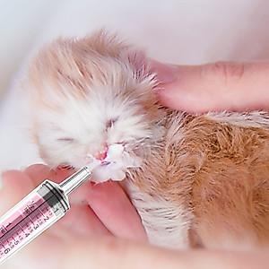 10 Pack 10ml Measurement Syringe with Cap, for Scientific Labs, Liquid Dispensing, Pet and Party Supplies(Pink, Catheter Tip)