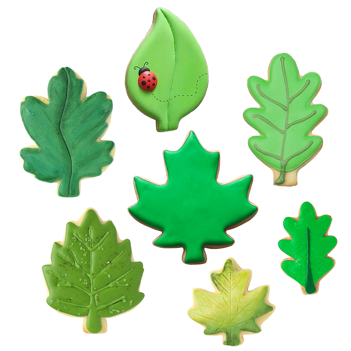 Spring Leaves Cookie Cutters 7-Pc. Set Made in the USA by Ann Clark, Oak, Teardrop, and Maple Leaf Shapes