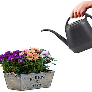 Fasmov Plastic Watering Can, Grey, 1-Gallon