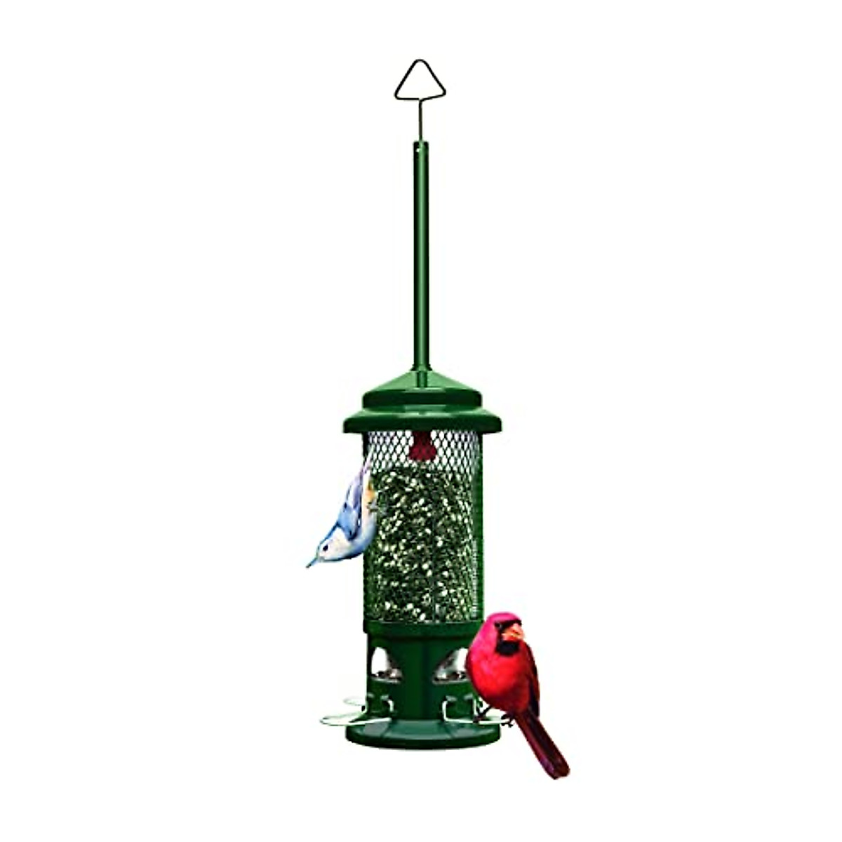 Squirrel Buster Standard Squirrel-proof Bird Feeder w/4 Metal Perches, 1.3-pound Seed Capacity, garden green