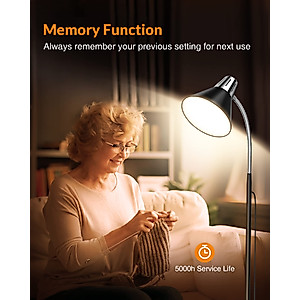 LEPOWER LED Floor Lamp, Reading Standing Lamps with Adjustable 5 Brightness Levels and 5 Colors, Dimmable Gooseneck Floor Lamp for Living Room, Bedroom, Office, Black