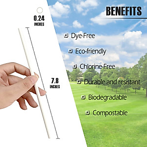 100 White Biodegradable Paper Straws co-Friendly Biodegradable Drinking Straws Bulk for Party Supplies, Bridal/Baby Shower, Birthday, Mixed Drinks, Weddings, Restaurant, Food Service, Drink Stirrer
