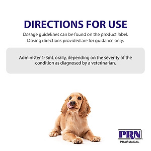 PRN Pharmacal Calsorb - Calcium Nutritional Supplement to Help Maintain Healthy Calcium Levels in Dogs - Gel-Based Dog Nutritional Supplement in an Easy-to-Use Syringe - 12 mL Syringe (3 Packs)