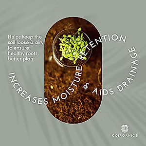 Bee Green Coco Coir Brick, Pure Coco Peat, All Natural Potting Soil for House Plants, Plant Soil Substitute for Peat Moss and Perlite, 1 Kilogram